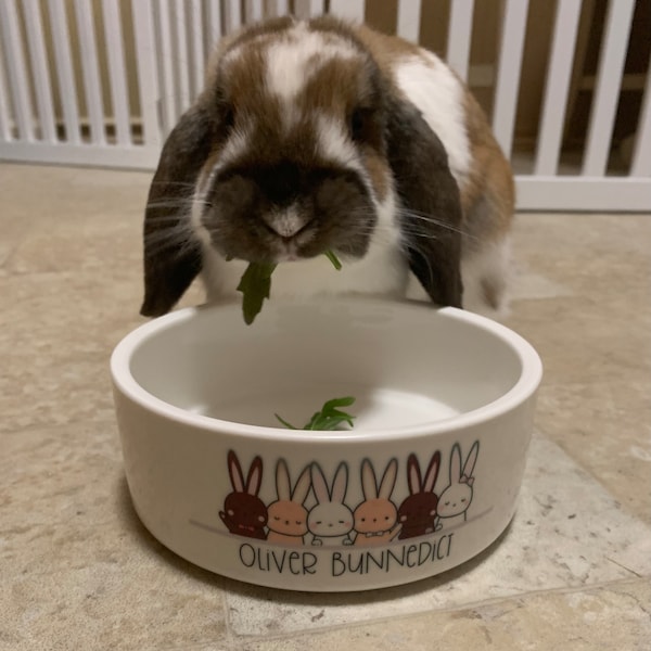Personalised Rabbit Bowl | Rabbit Christmas Gift | New Rabbit Present ...