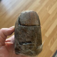 Rat Christ Ooak Cursed Crucifix Sculpture - Etsy Canada