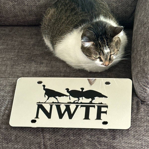 Custom License Plate! Laser Cut Acrylic! Durable! See What I Can Make ...