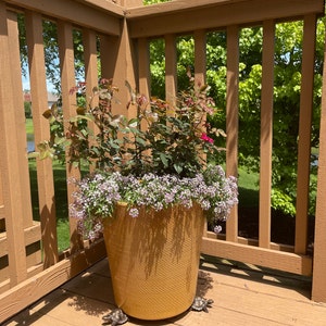 Peter Rabbit Pot Buddy Pot Hanger Beatrix Potter Gift - Etsy