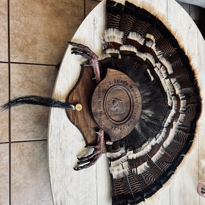 Walnut Turkey Bust Display for Tail, Beard, Spurs, Shotgun Shell, & Fan ...