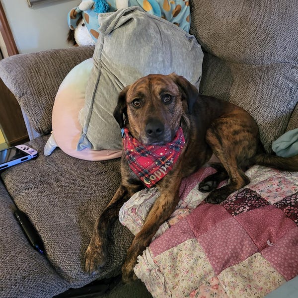 Plain Knot Headband Womens Hair Accessory, Knotted Wide Hairband ...