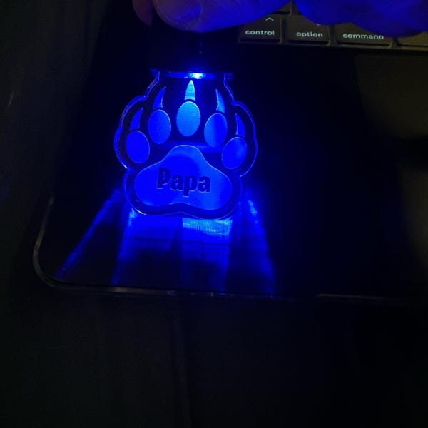Human Pup Necklace - Light up Dog Tag - Color Changing - Stocking ...