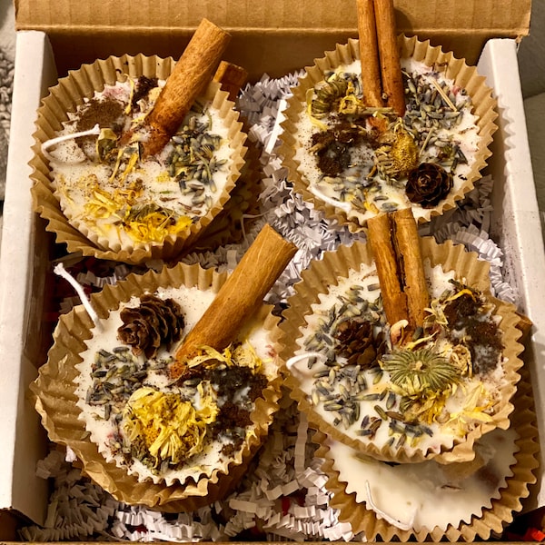 Fire Starters for Fire Pits & Log Fires - Floral and Herbal - Natural ...