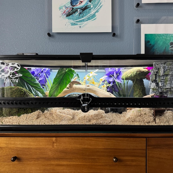 Leopard Gecko Sticker, Leopard Gecko Decal, Gecko Sticker, Gecko Art ...