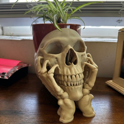 Happy Skull Horror Planter Unique Plant Pot, Witchy/goth Decor Bedroom ...