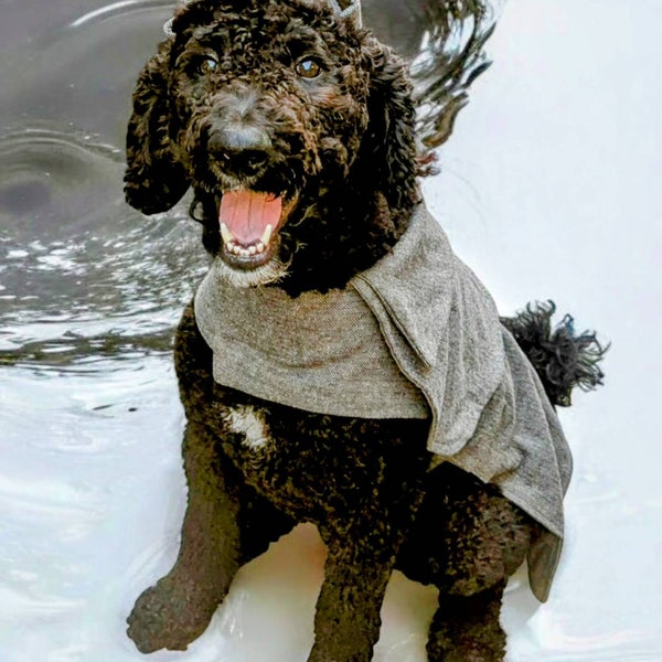 Kentucky Derby Dog Dress, Kentucky Derby Dog Outfit, Girl Dog Outfit ...