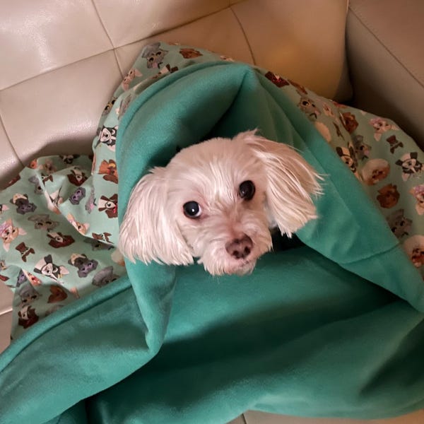 Dog Snuggle Bed Sewing Pattern and Tutorial PDF - Dog Sleeping Sack ...