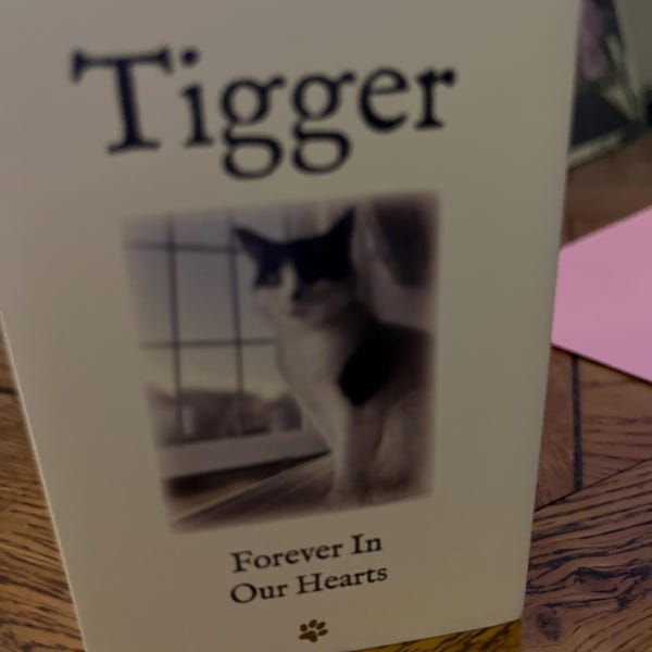 Personalised Circular Perspex Paint Splash Place Names Clear Acrylic ...