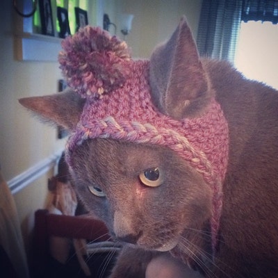 A Very Grumpy Cat Hat Knit Pattern - Etsy