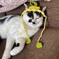 Crochet Lemon Hat for Cats - Etsy UK