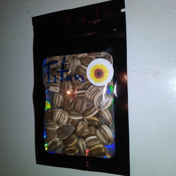 Rare Giant Indian Corn Seeds X50! Easy to Grow! Colorful Massive Ears ...