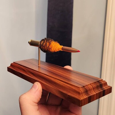 22 CB Cap 22 Conical Ball Acorn 6mm Flobert - Etsy