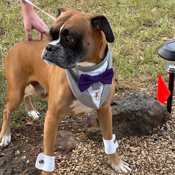 Dog Cuffs~non-slip Feature~dog Tuxedo~dog Cuffs With Satin Buttons to ...