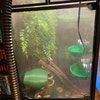 20 & 29 Gallon Terrarium Conversion Kit - Etsy