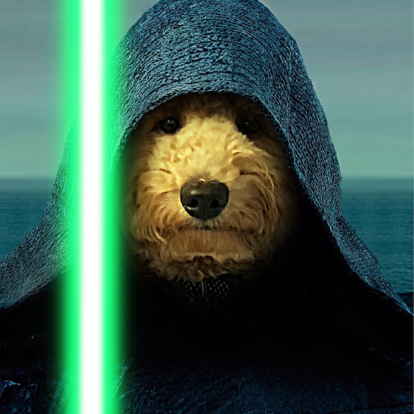 Custom Star Wars Pet Portrait, Luke Skywalker Dog Portrait, Star Wars ...