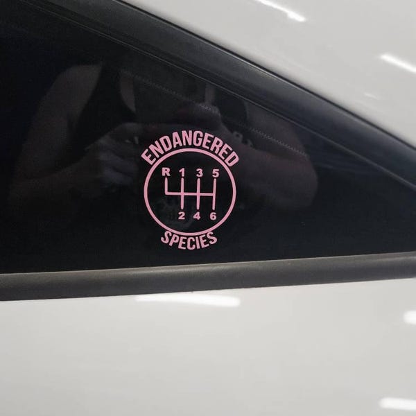 6 Speed Gear - Endangered Species - Stick Shift - Manual Car - Car ...