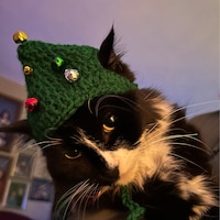 Cat Frog Hat Available for All Pets Dog / Cat / Pet Hat - Etsy