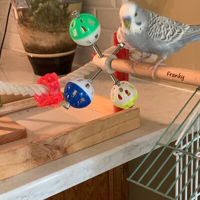 Perch Toy With Rotating Balls for Budgies, Budgerigars, Parakeets ...
