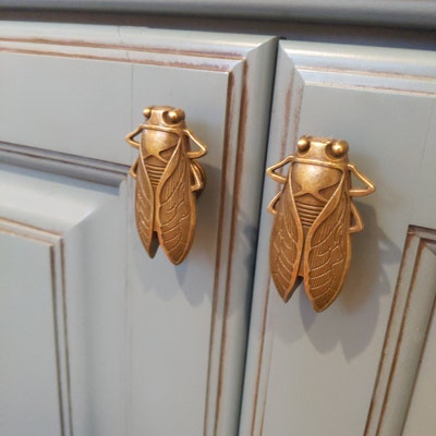 Cicada Drawer Knob Set of 2 / 4 / 6 /8 Bug Cabinet Knobs Gift Insect Lover - Etsy