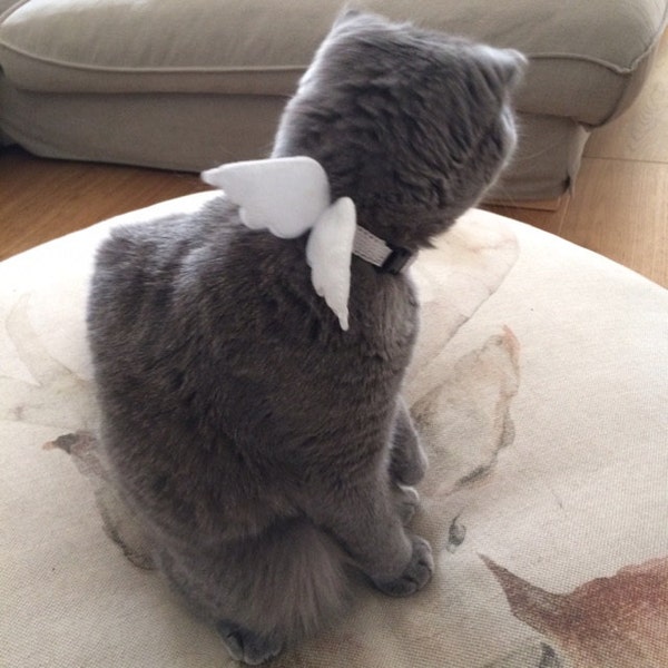 Angel Cat Collar/ Angel Wing Cat Costume-''white+color Option''-wedding ...