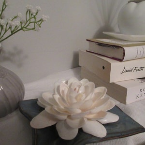 Lily Seashell 'dried' Forever Flower Handmade With Natural Florida ...