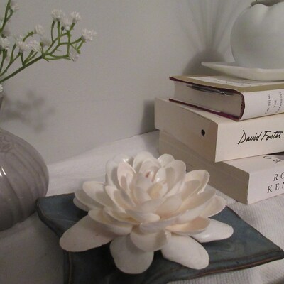 Lily Seashell 'dried' Forever Flower Handmade With Natural Florida ...