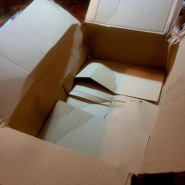 Antique Vintage 1920s Bing Teddy Bear With Working Growler Fully ...