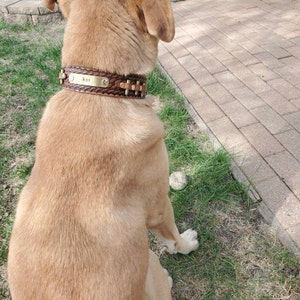 Leather Dog Collar: Design Your Own Personalized Dog Collar | Etsy
