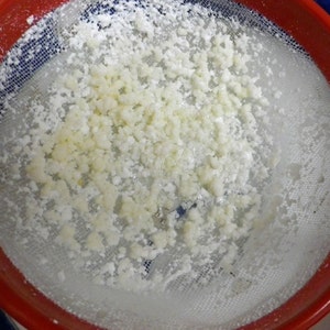 Kefir Fermenter: Container With Kefir Grains (20 G) - Etsy