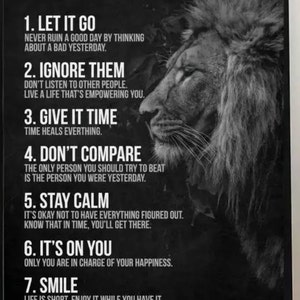 Vintage Satin Slip Dress in White With Floral Lace Trim Adjustable Straps Nylon Scalloped Hem ...