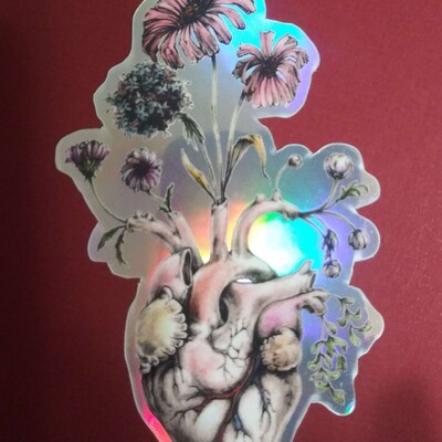 8x10 PRINT of Original Drawing blooming Heart Graphite, Art, Anatomy ...