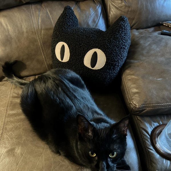 Sherpa 8 Ball Pillow, Magic Eight Ball Cushion, Tufted Black Pillow 8 ...