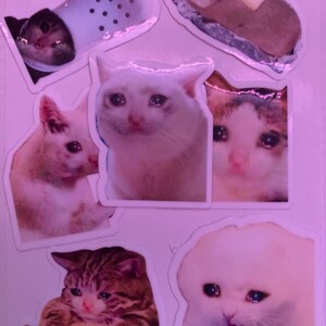 Crying Cat Sticker Pack Pack of 7 Meme Crying Cat Stickers - Etsy