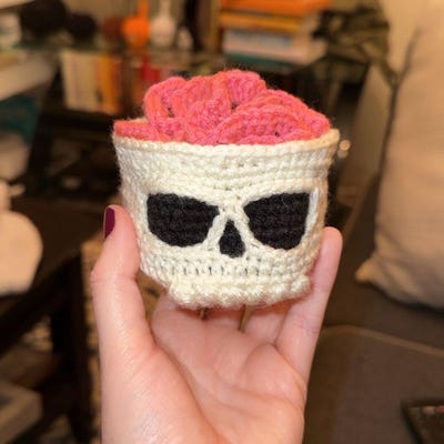 Brainy Skull Coaster Set CROCHET PATTERN / Skull Coaster PDF English ...