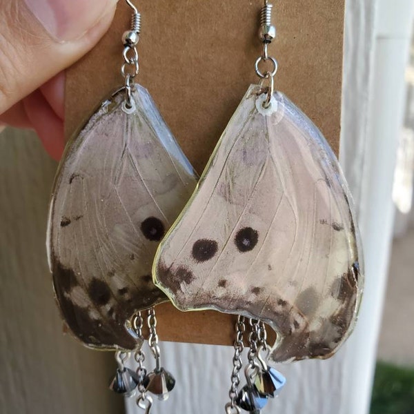 25, 50, 100 A Grade Real Butterfly Wings, Wings for Crafts, Laminated ...