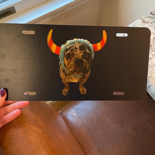 Custom License Plate Front Car Tag, Aluminum or Plastic - Personalized ...