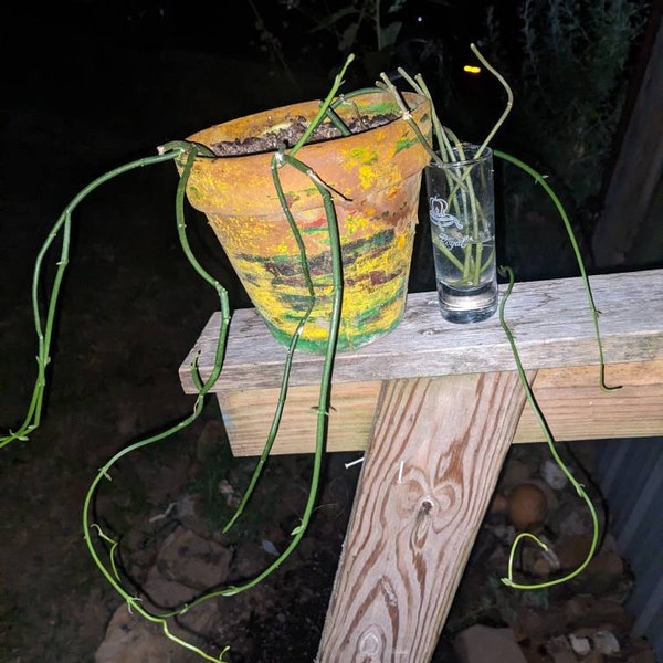 Handmade Ceramic Alien/ Xenomorph Art Tile - Etsy