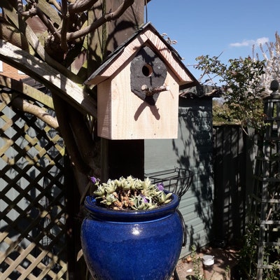 Bird House Nest Box With Welsh Slate Roof Blue Tit Box - Etsy UK