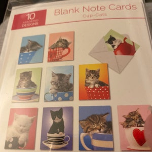 20 Assorted Hilarious Blank Note Cards Bulk Bulk Pack 4 X 5.12 - Etsy