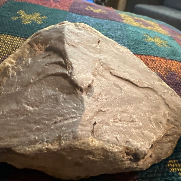 2lbs of Limb Cast With Oregon Opal - Etsy