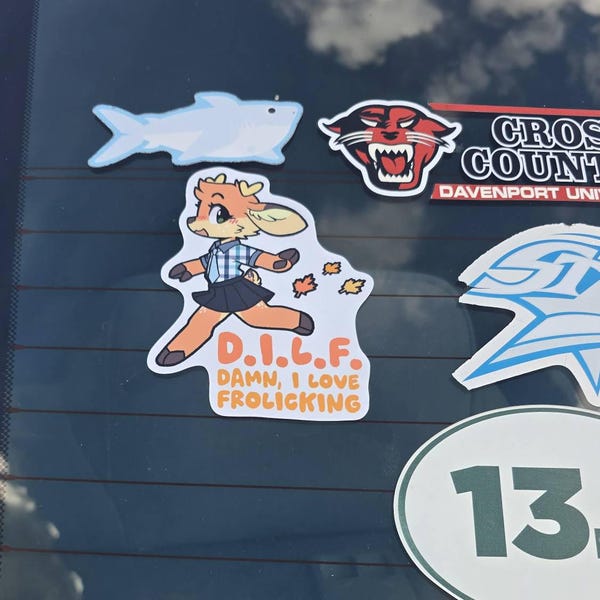 Rey Fox From "the Otherside Show" Print (4x6) - Etsy