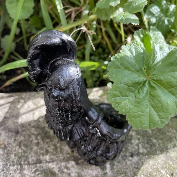 Vintage Camera Konica Centuria 30 ,film Camera Konica 1990s., Point and ...