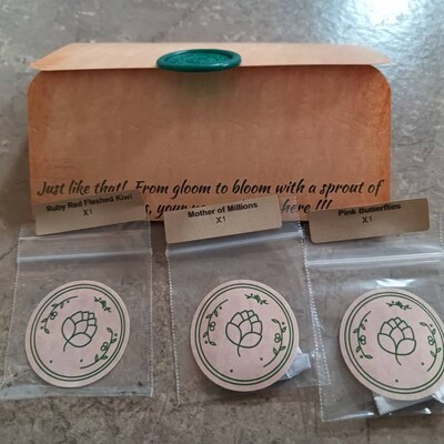 Snake Pod Laranja Nut is the Fruit of the Buriti Palm Buriti Fruit Skin ...