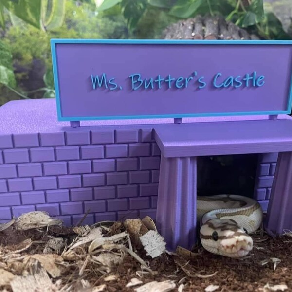 Custom Reptile Hide/snake Hide/ Gecko Hide/customizable - Etsy