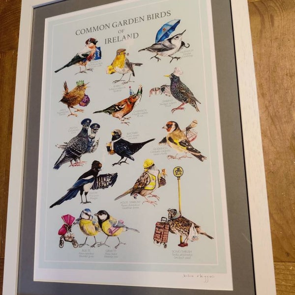 Common Garden Birds of Ireland A3 Art Print Illustration Painting ...