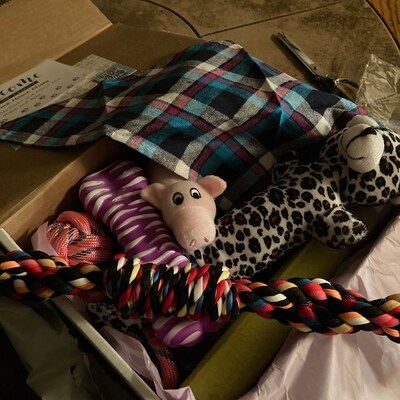 Color Themed Snack Box Color Party Gift Out of the Blue Gift Red ...