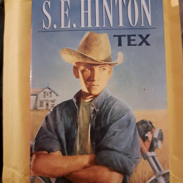 S.E. HINTON Build a Book Lot Choose Titles Outsiders That Was Then ...