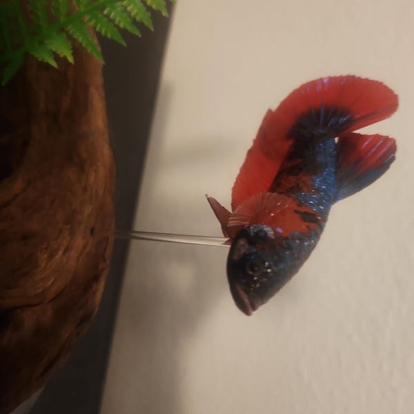 Fake Snail Aquarium - Etsy