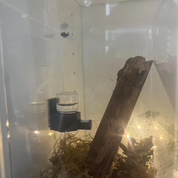 Wicking Water Feeder Trough for Small Pets Insects, Spiders, Tarantulas ...